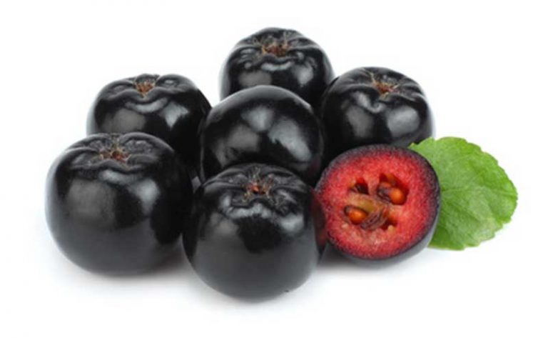 Aronia melanocarpa, nutritivos y saludables frutos que cultivarás tu mismo.